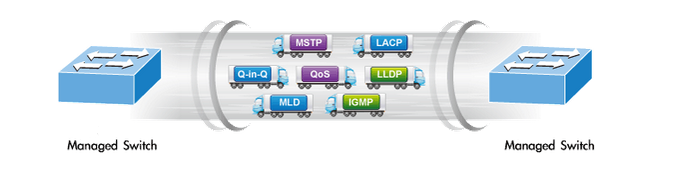 Managed vs Unmanaged Switch: Which to Choose? | Easybom